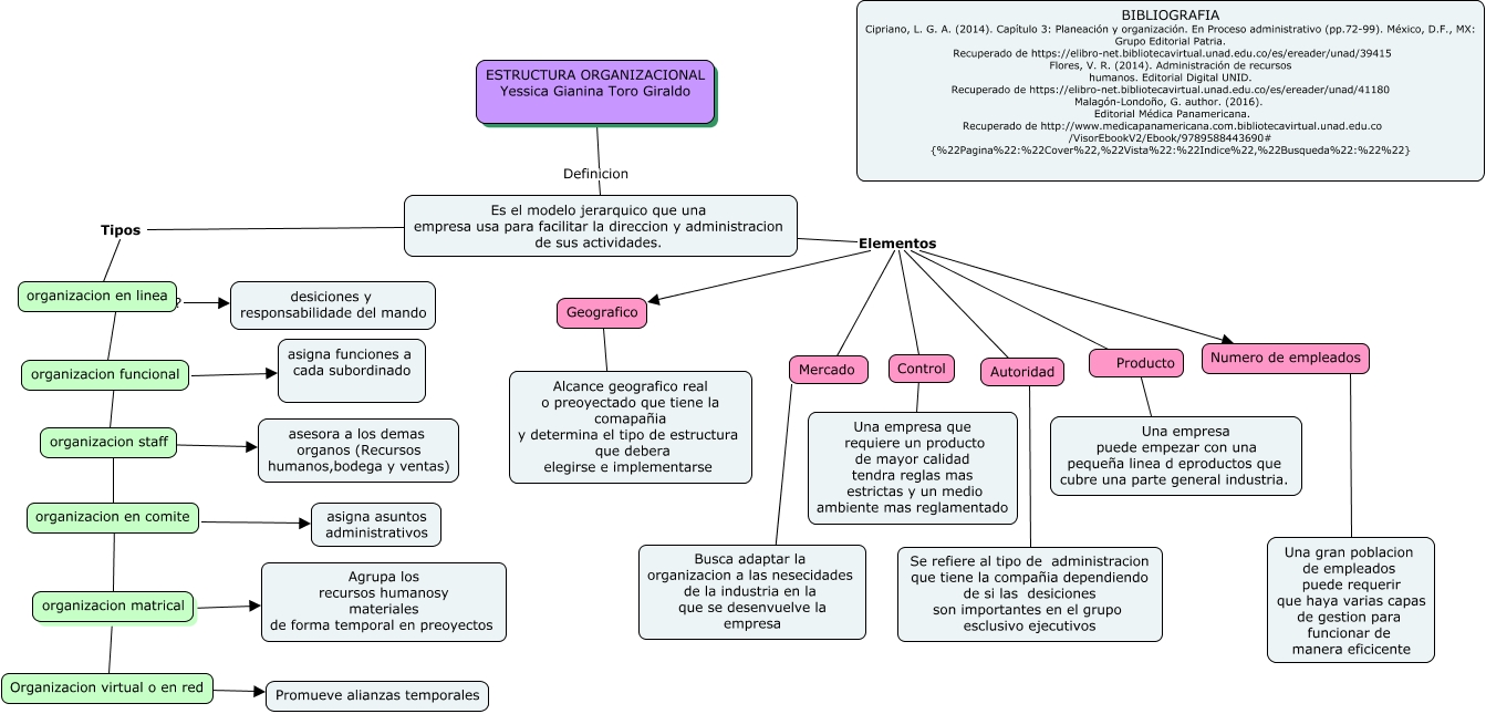 Proceso Administrativo en Salud